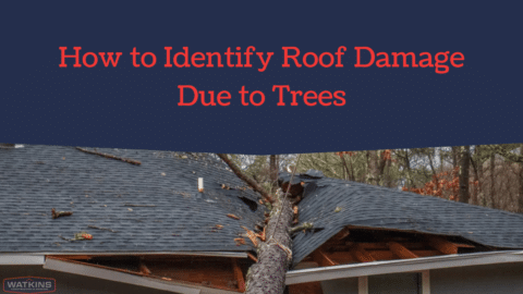 How to Identify Roof Damage Due to Trees - Watkins Construction & Roofing